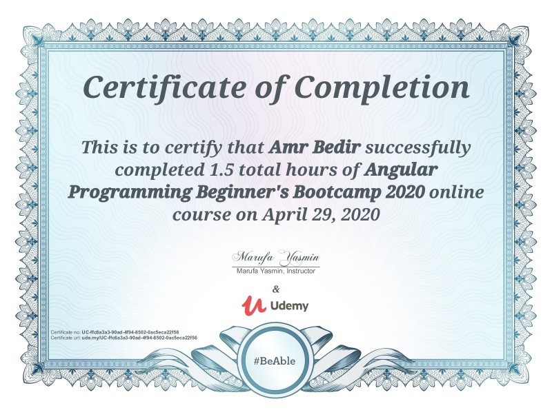 Angular Programming Beginner's Bootcamp 2020 - صور