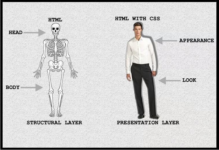 Html Vs Html Css حسوب Io